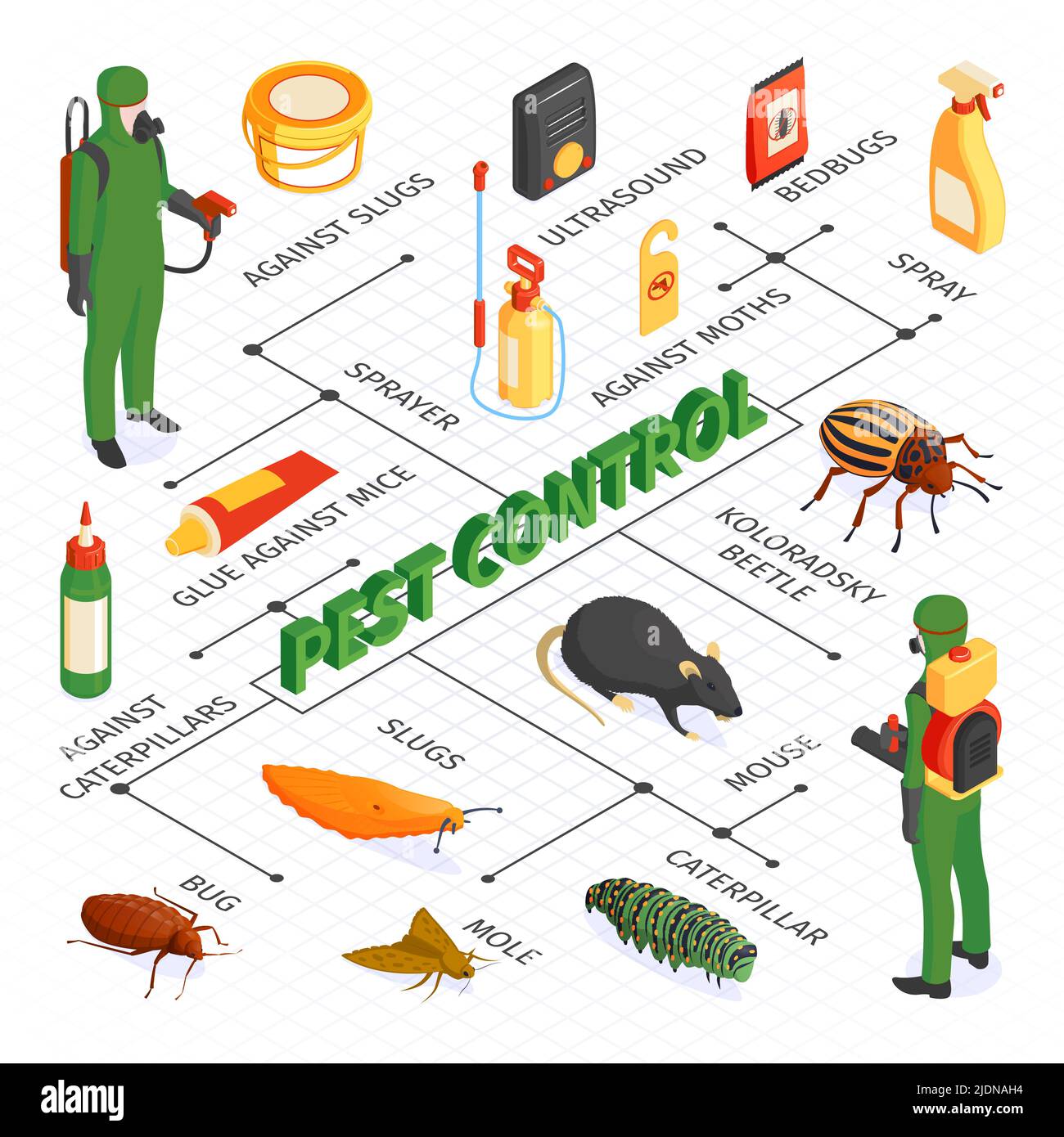 Isometric pest control flowchart composition with desinsection products ...