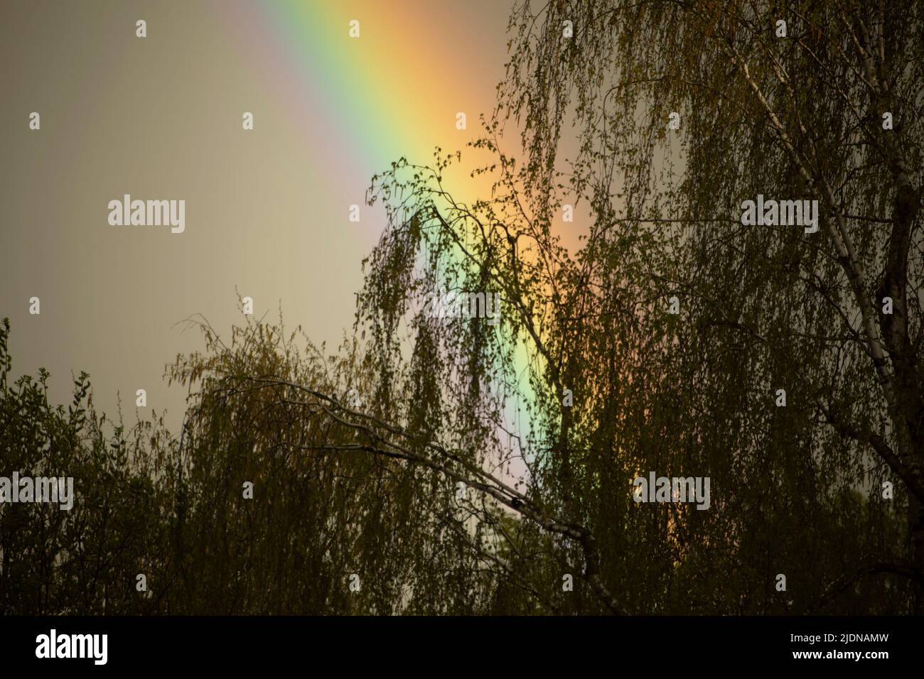Rainbow in sky. Beautiful weather. Decomposition of light into colors ...