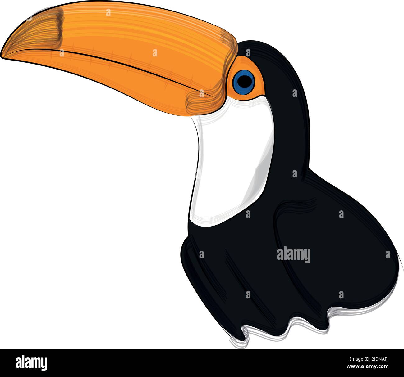 Isolated colored sketch of a tropical toucan Vector Stock Vector Image ...