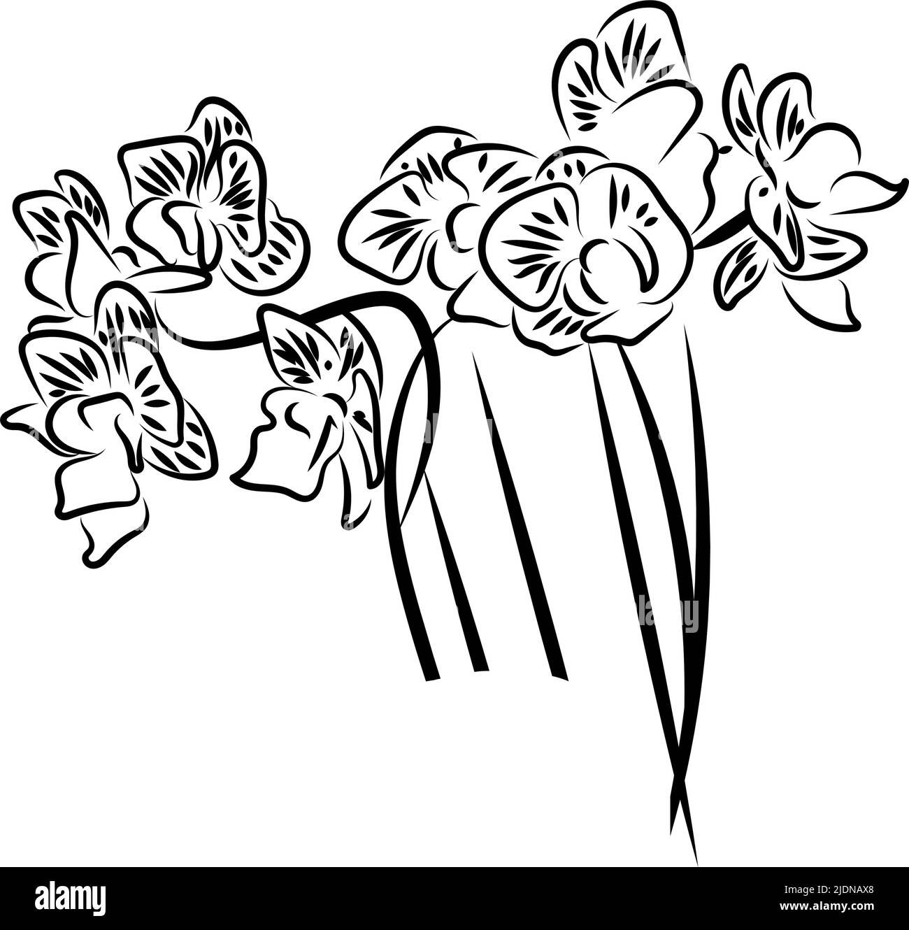 Isolated sketch of a group of flowers Vector Stock Vector Image & Art ...