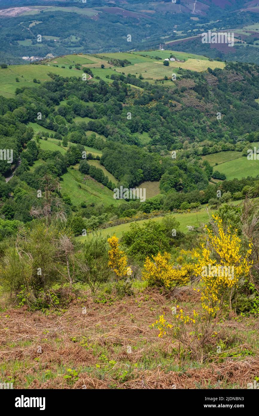 Galicia landscape hi-res stock photography and images - Alamy