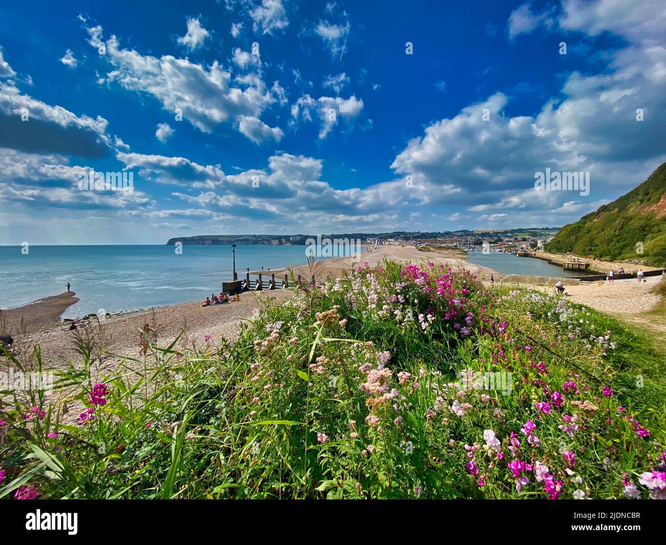 Seaton beach in Devon Stock Photo - Alamy