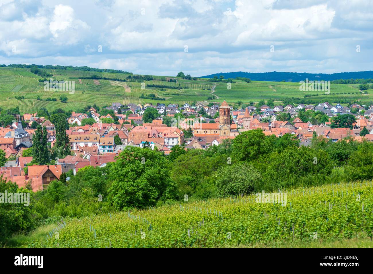 Rural landscape of Alsace in France. The small medieval town of Rosheim ...