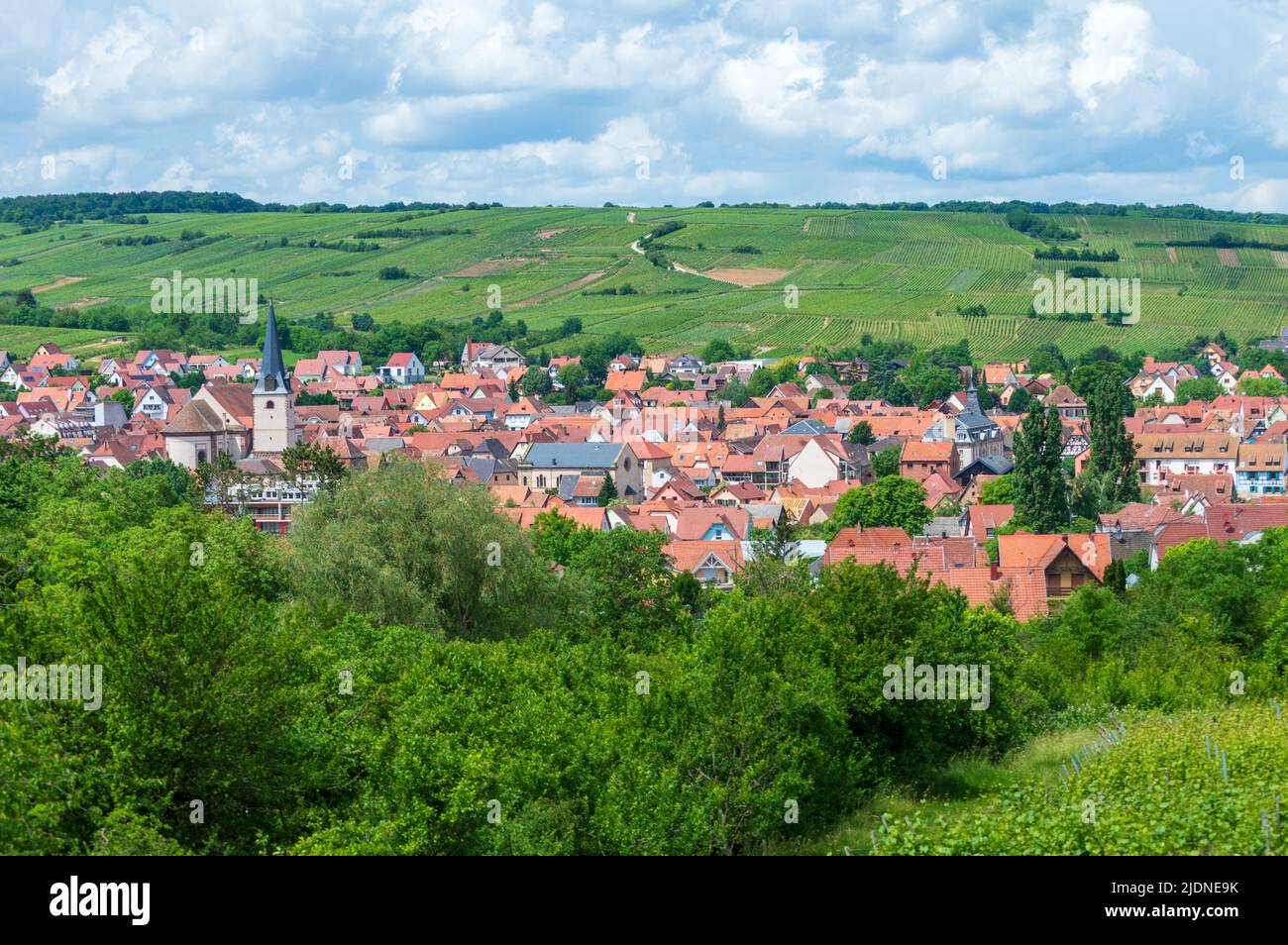 Rural landscape of Alsace in France. The small medieval town of Rosheim ...