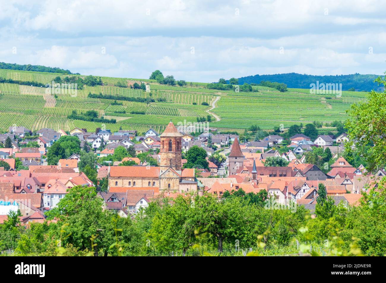 Rural landscape of Alsace in France. The small medieval town of Rosheim ...