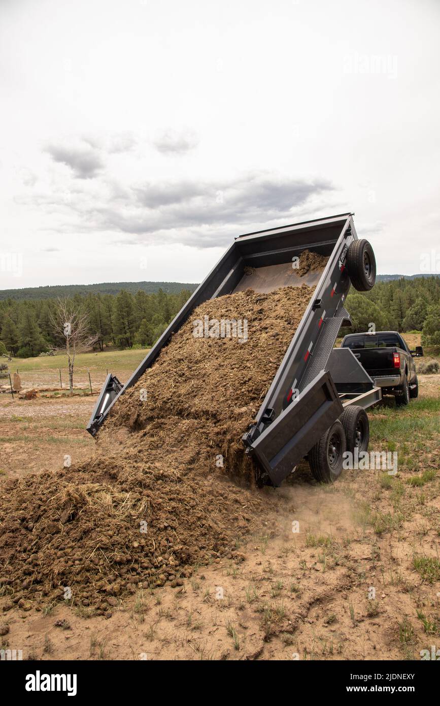 An Iron Bull Trailer dumps a long pile horse manure for fertilizer on a ...