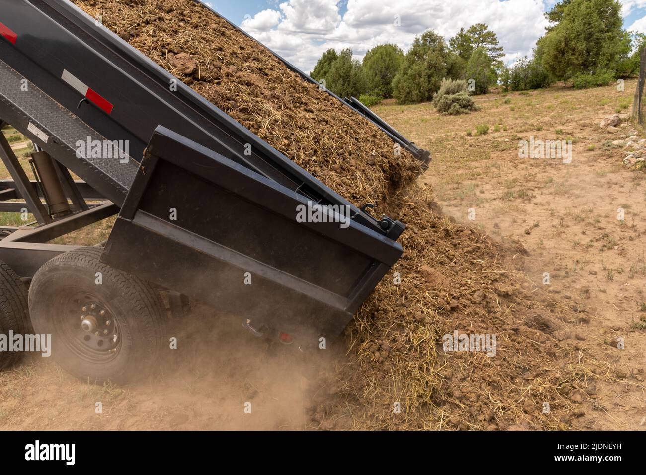 An Iron Bull Trailer dumps horse manure for fertilizer on a ranch in ...