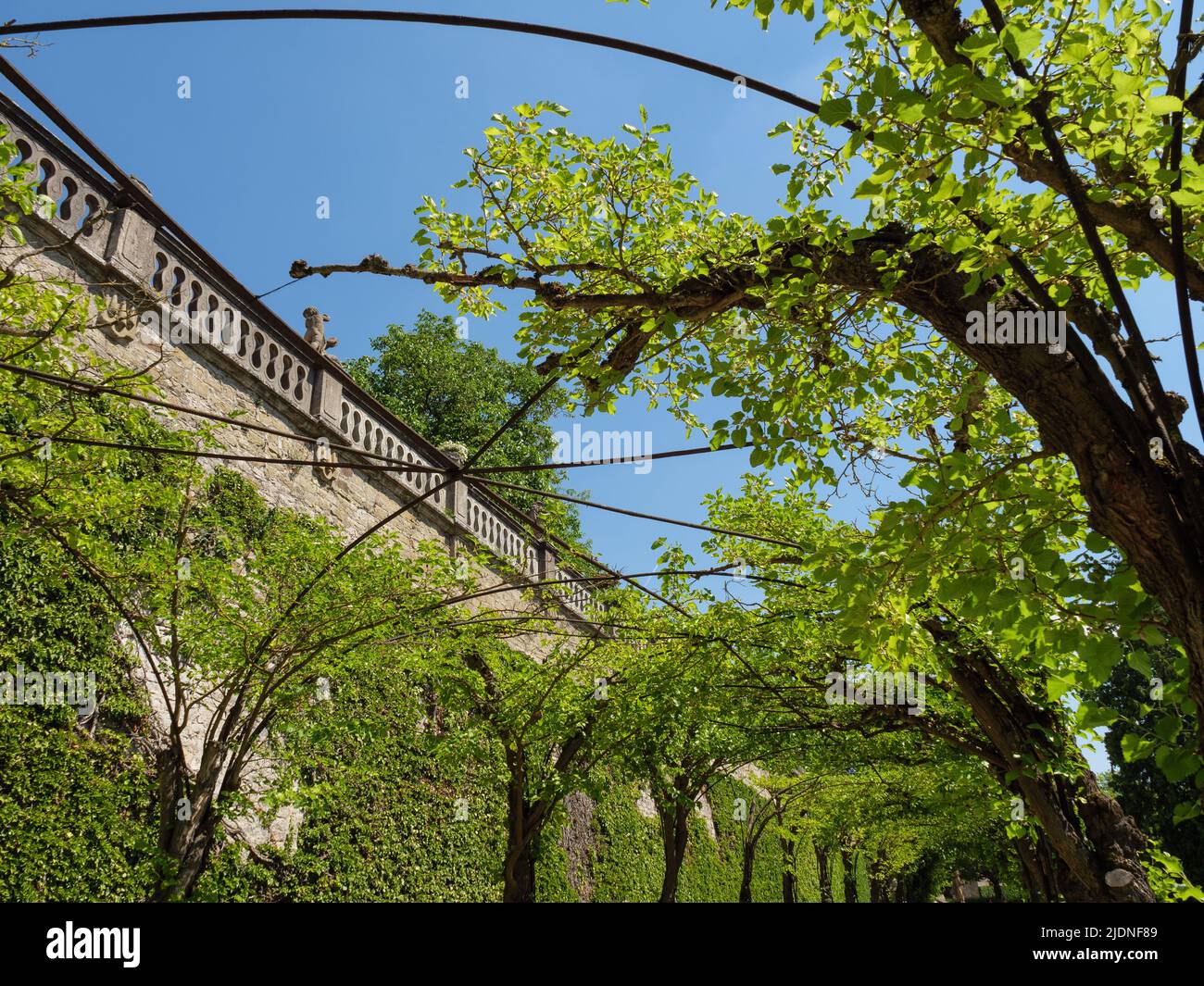 the city of Wuerzburg at the river main Stock Photo - Alamy
