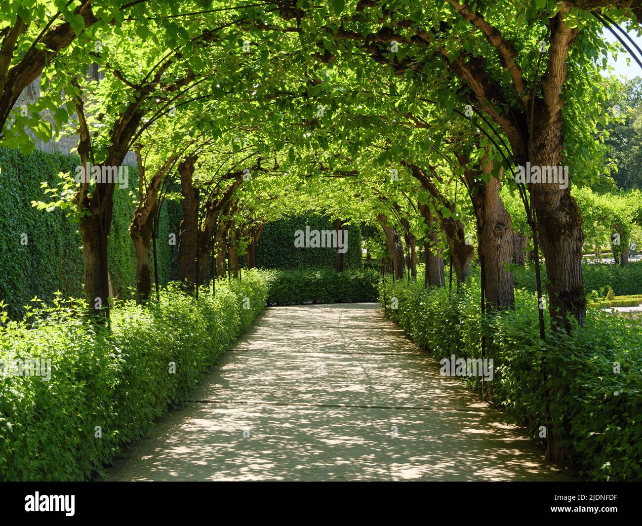 the city of Wuerzburg at the river main Stock Photo - Alamy