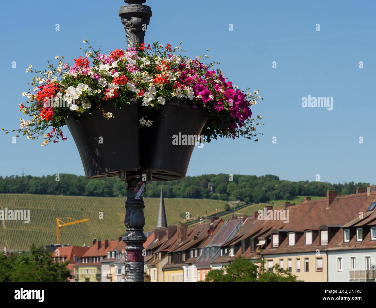 the city of Wuerzburg at the river main Stock Photo - Alamy