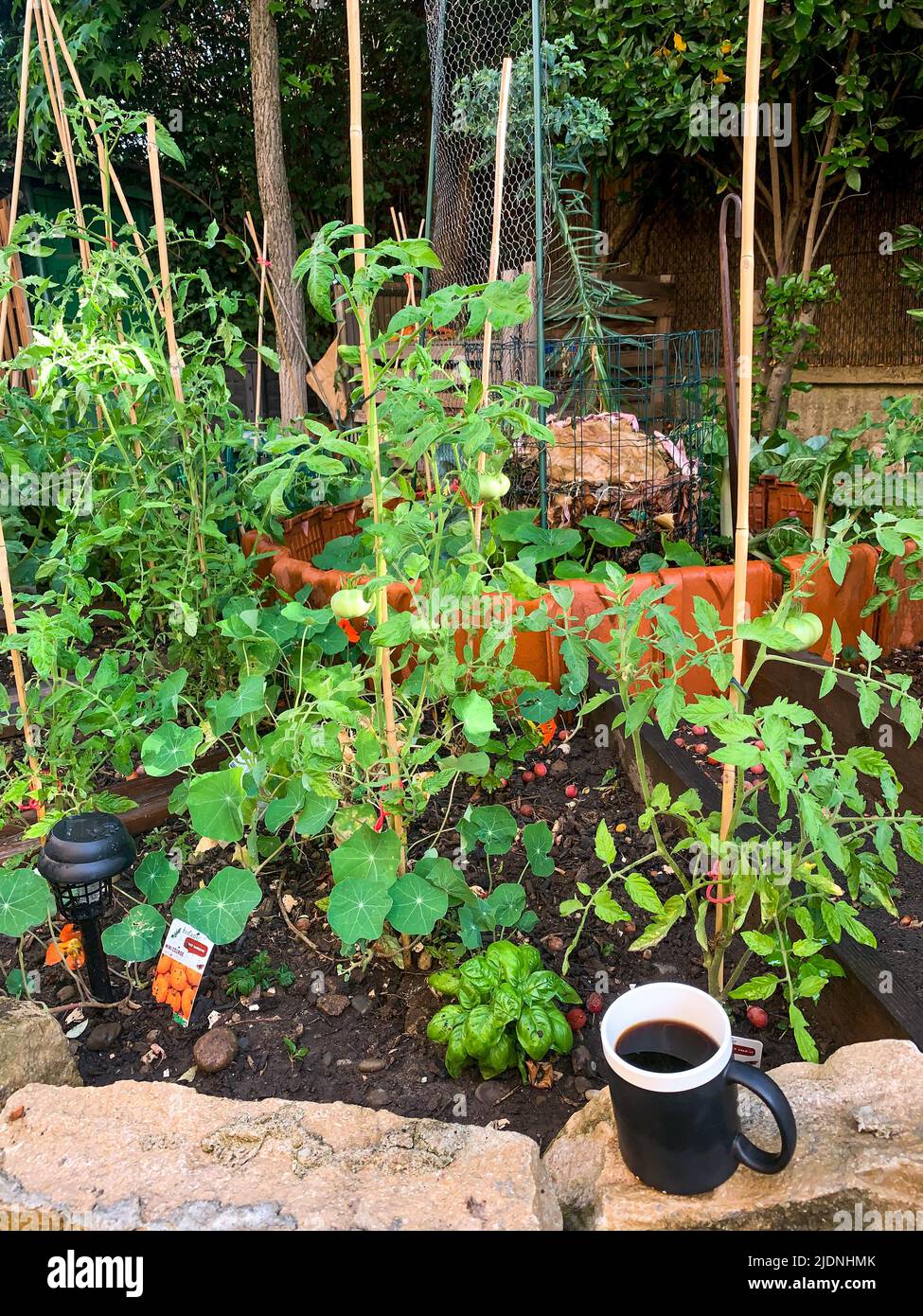 Having coffee in a private vegetable garden, Lyon, Rhone, AURA Region ...