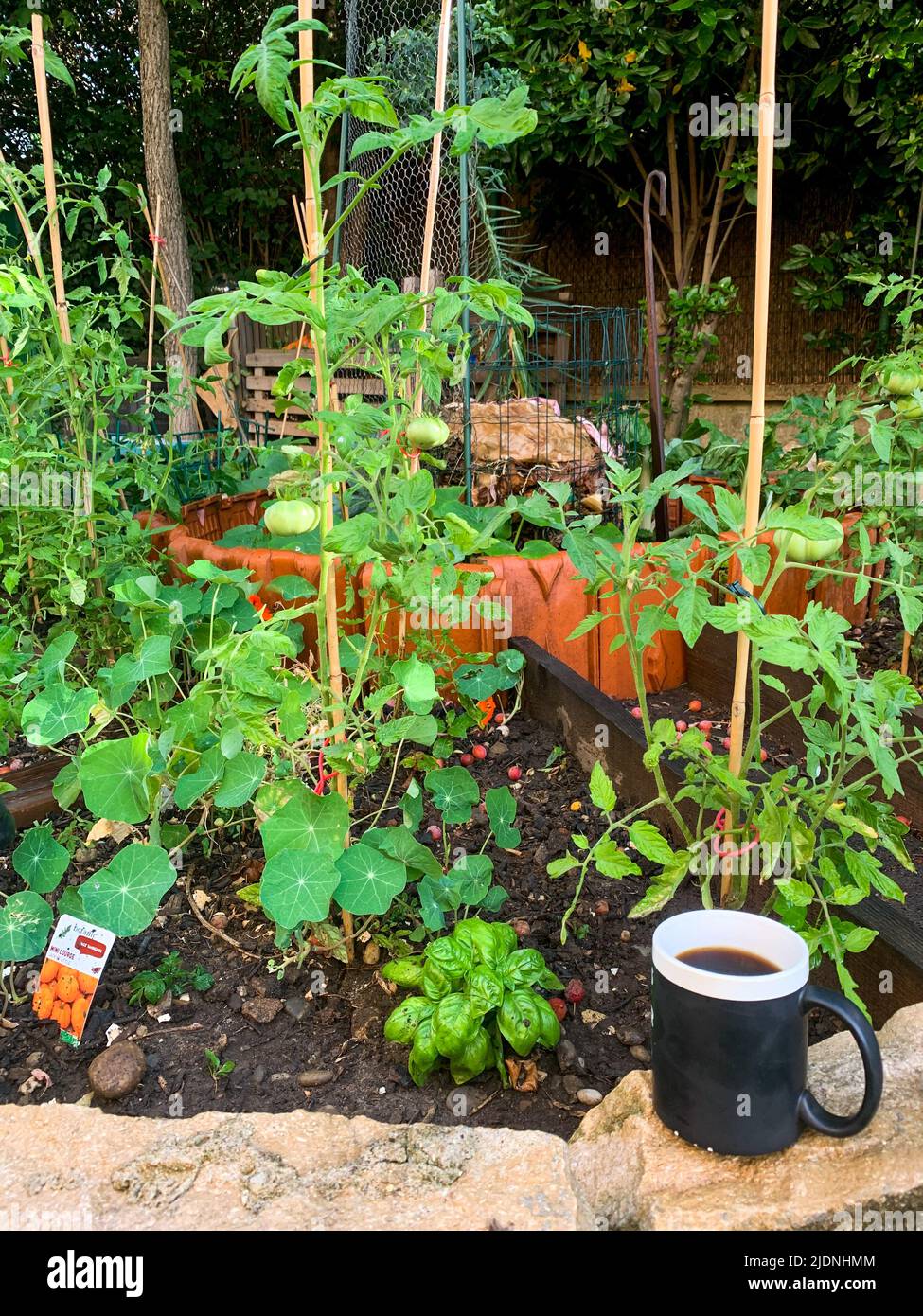 Having coffee in a private vegetable garden, Lyon, Rhone, AURA Region ...