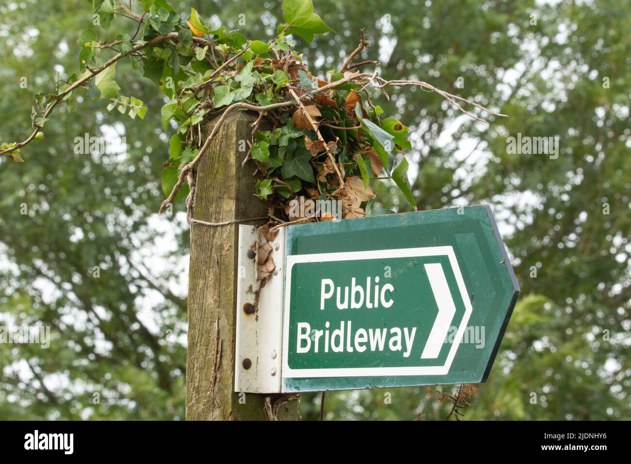 Question mark sign countryside hi-res stock photography and images - Alamy