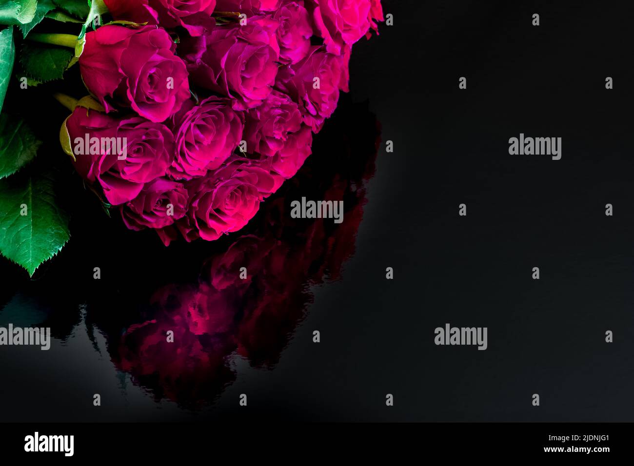 Bouquet of fushia pink roses. Bouquet of fuchsia pink roses on a black ...
