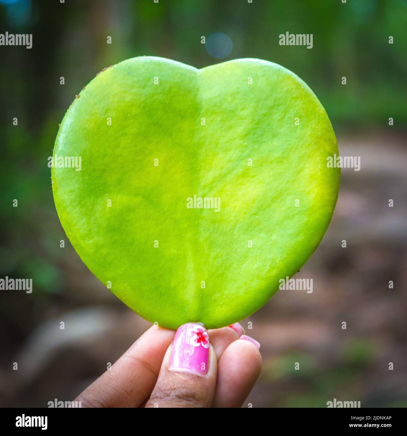 Asean heart hi-res stock photography and images - Alamy
