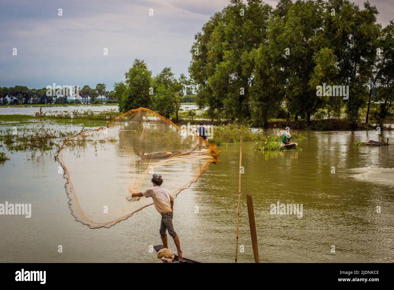 Fisherman using net to catch fishes Stock Photo - Alamy