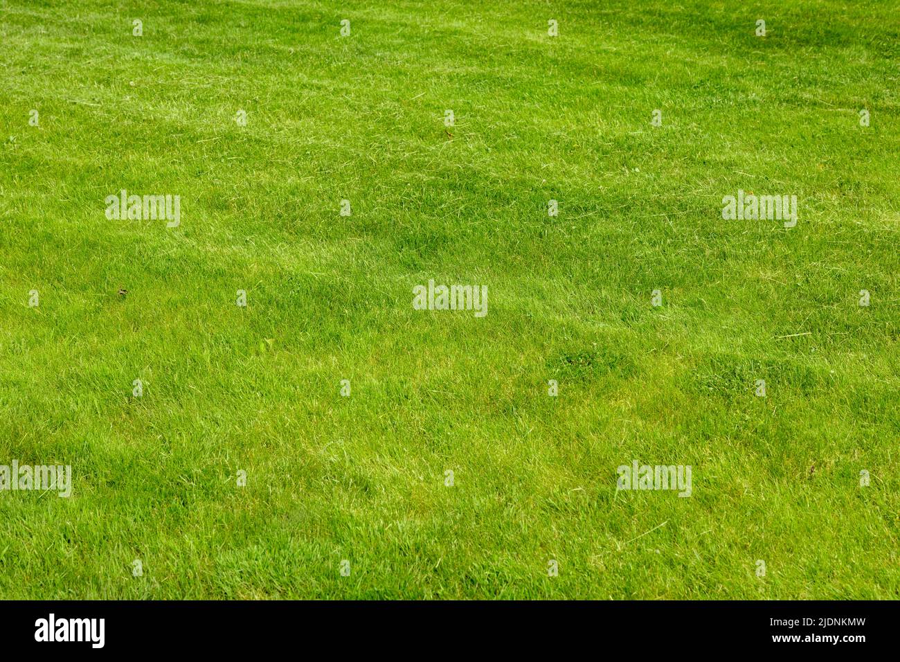 Beautiful green lawn freshly mowed hi-res stock photography and images ...