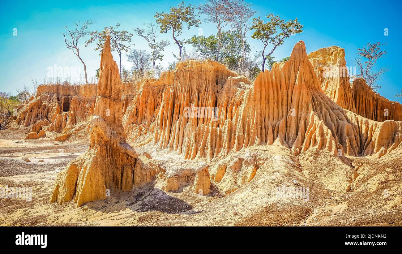Natural dirt grows from the ground in Cambodia Stock Photo - Alamy