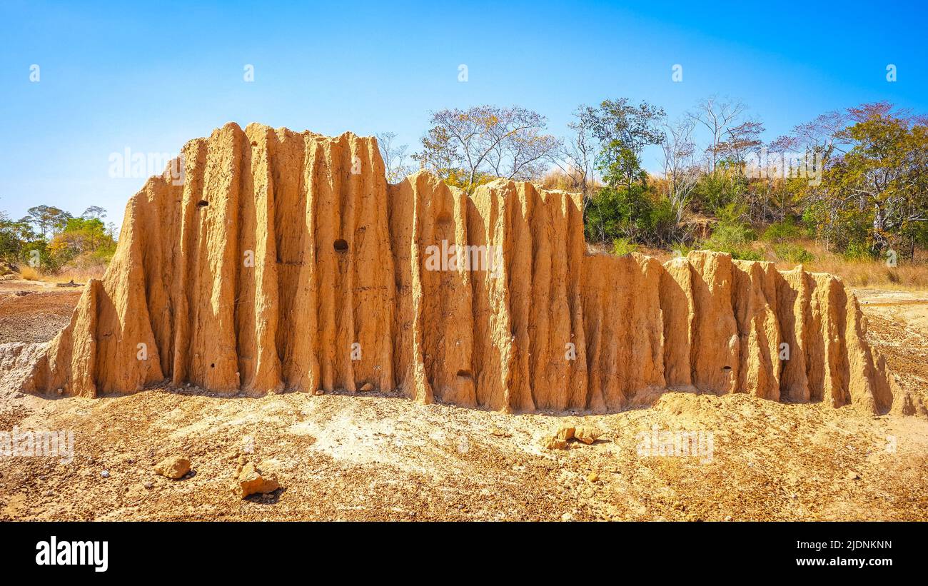 Natural dirt grows from the ground in Cambodia Stock Photo - Alamy