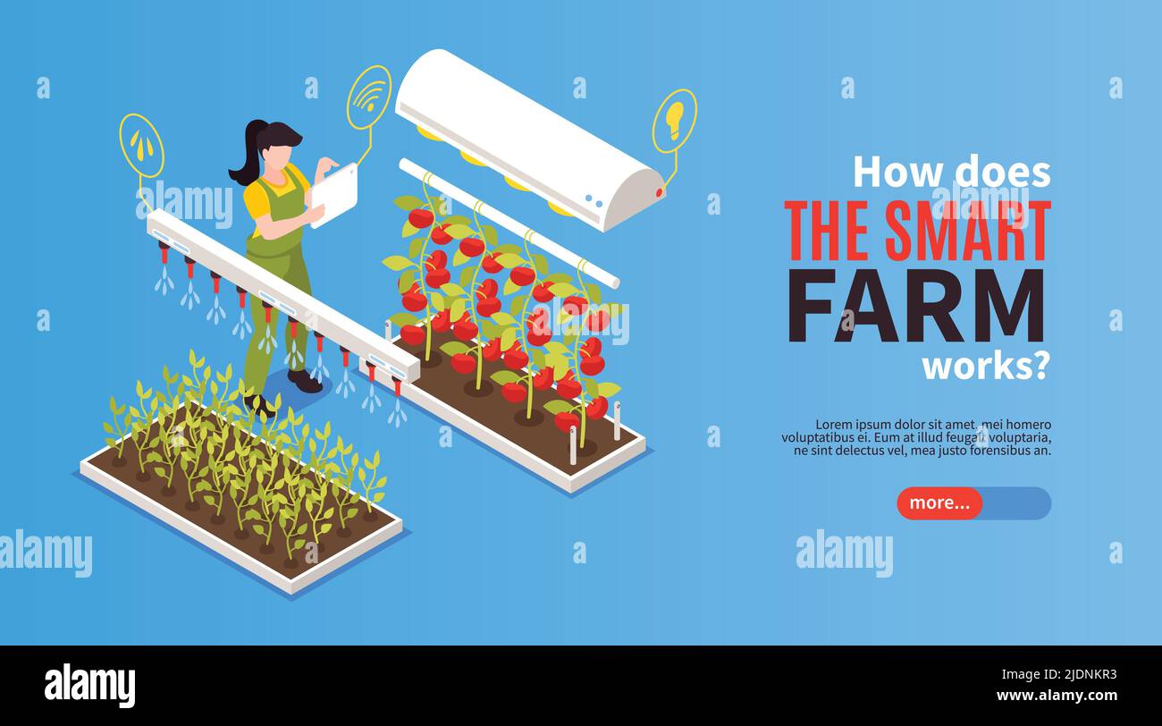 Isometric smart farm horizontal banner with more button text and ...