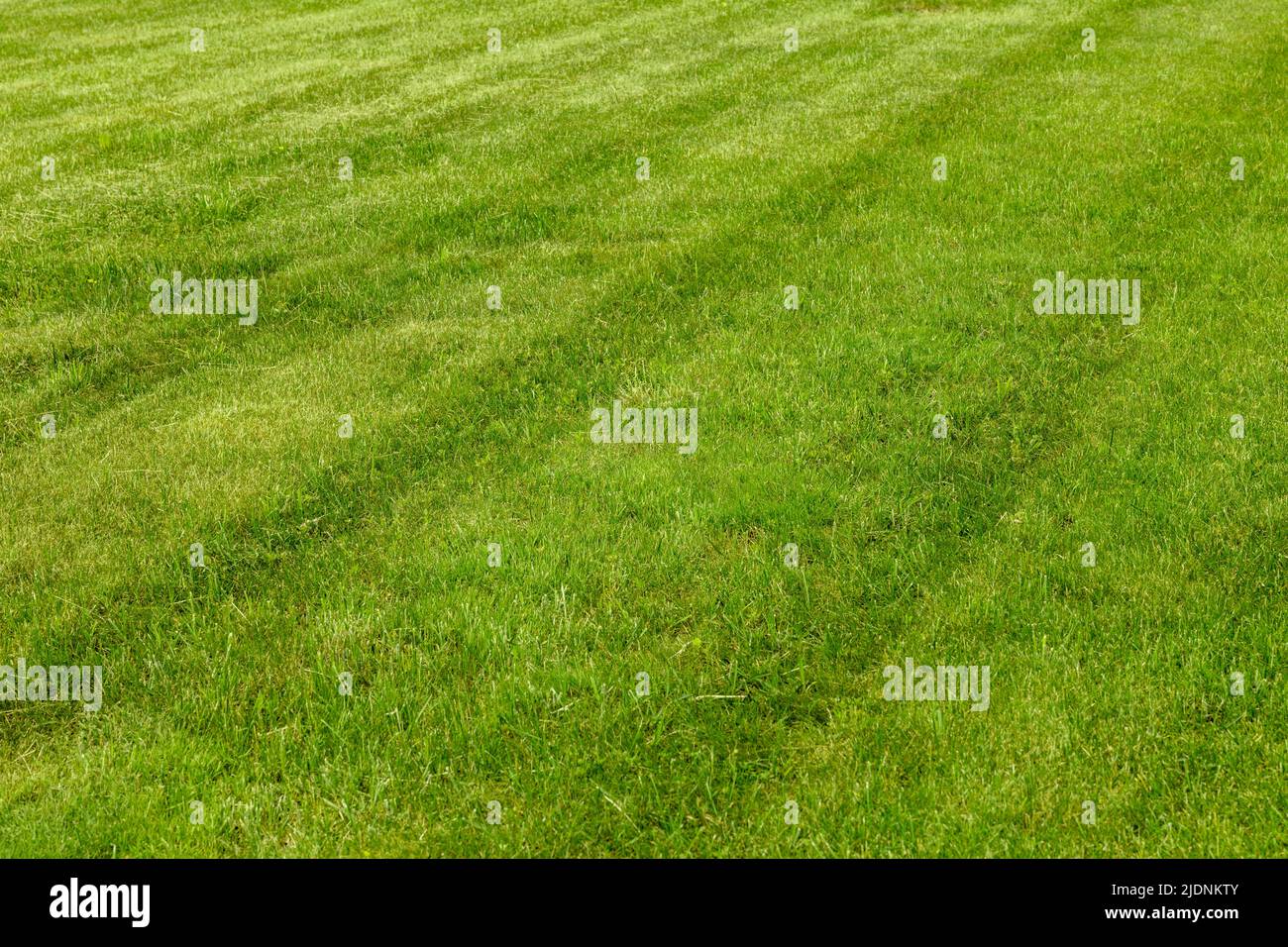 Beautiful green lawn freshly mowed hi-res stock photography and images ...