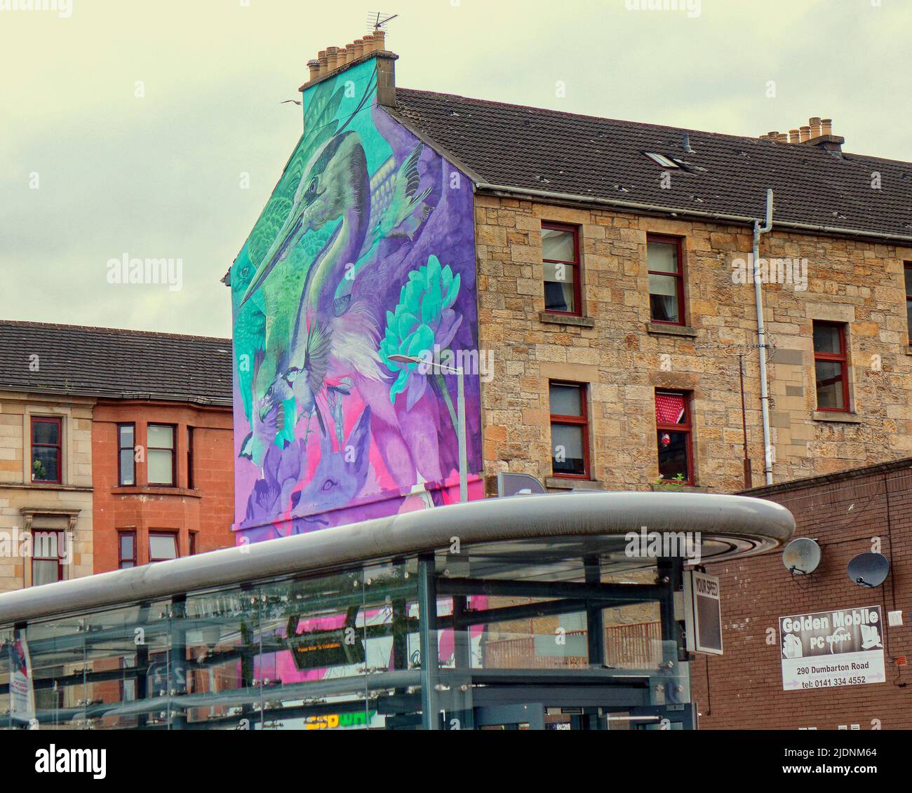 Glasgow, Scotland, UK 22nd June, 2022. Merlin returns to partick at the ...