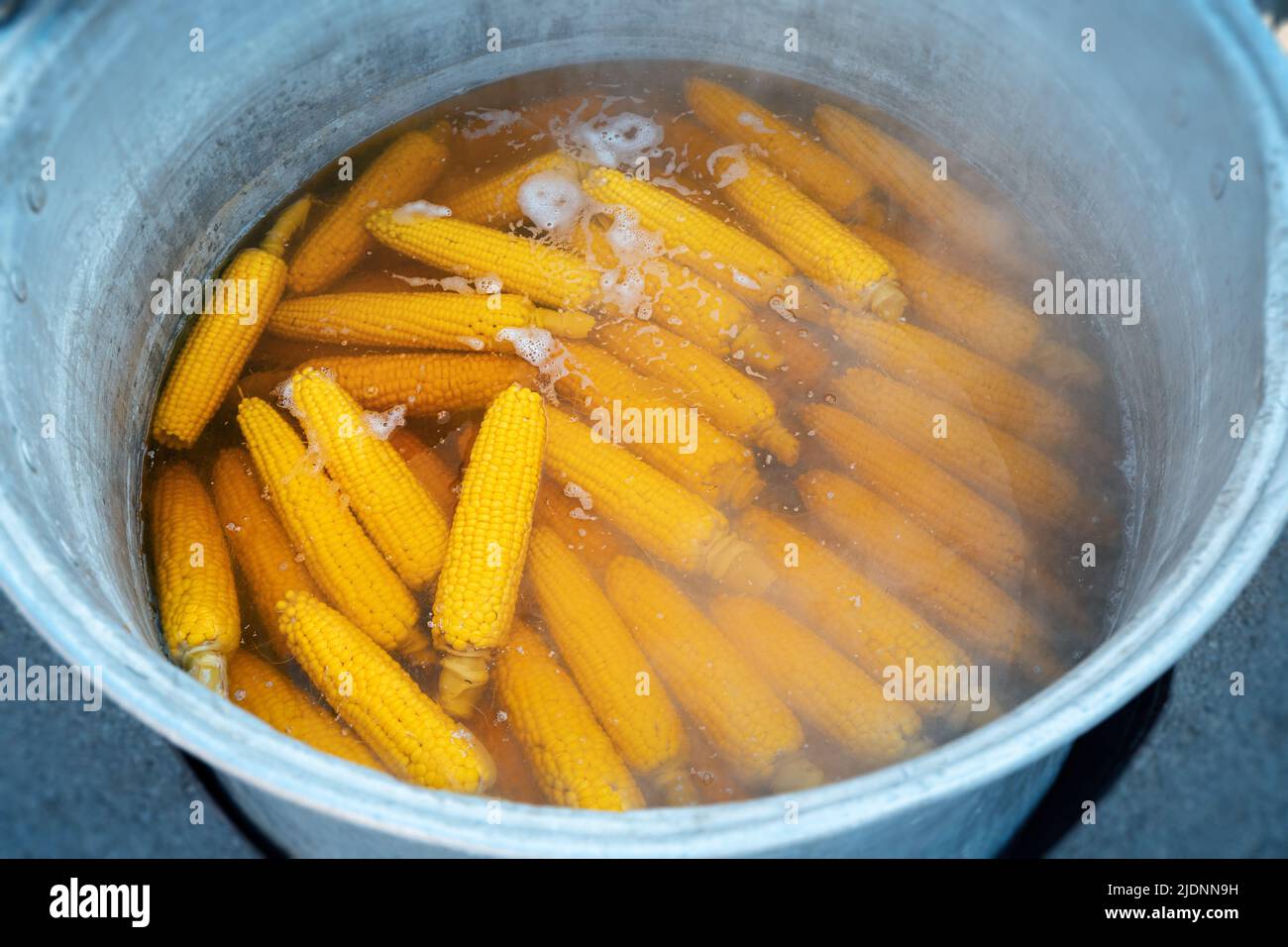 A lot of corn cobs are cooked in a large saucepan. Street food and ...