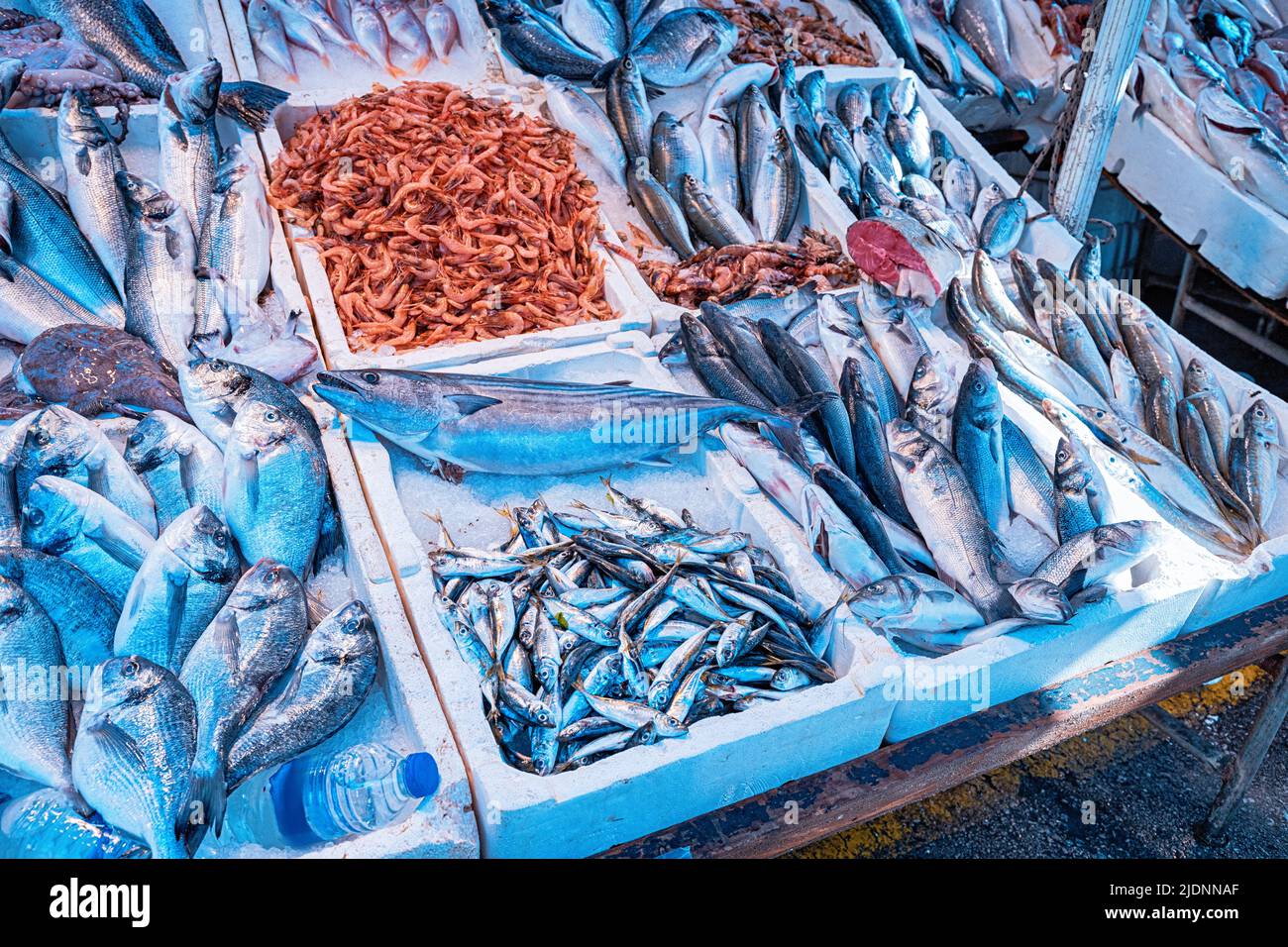 Various types and varieties of fish lie on the ice and are sold at the ...