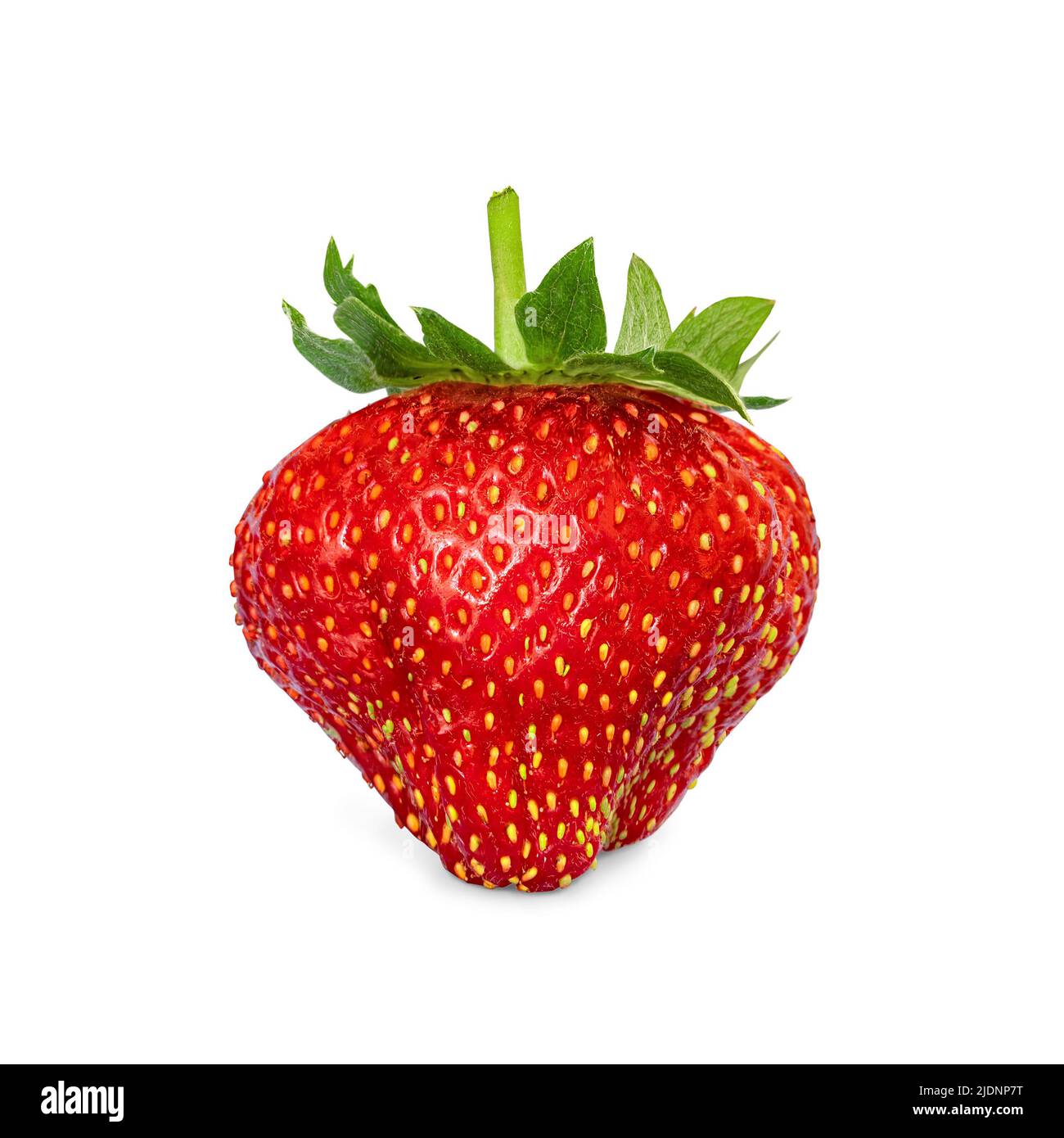 Isolated on a white candid and natural portrait of a strawberry with a ...