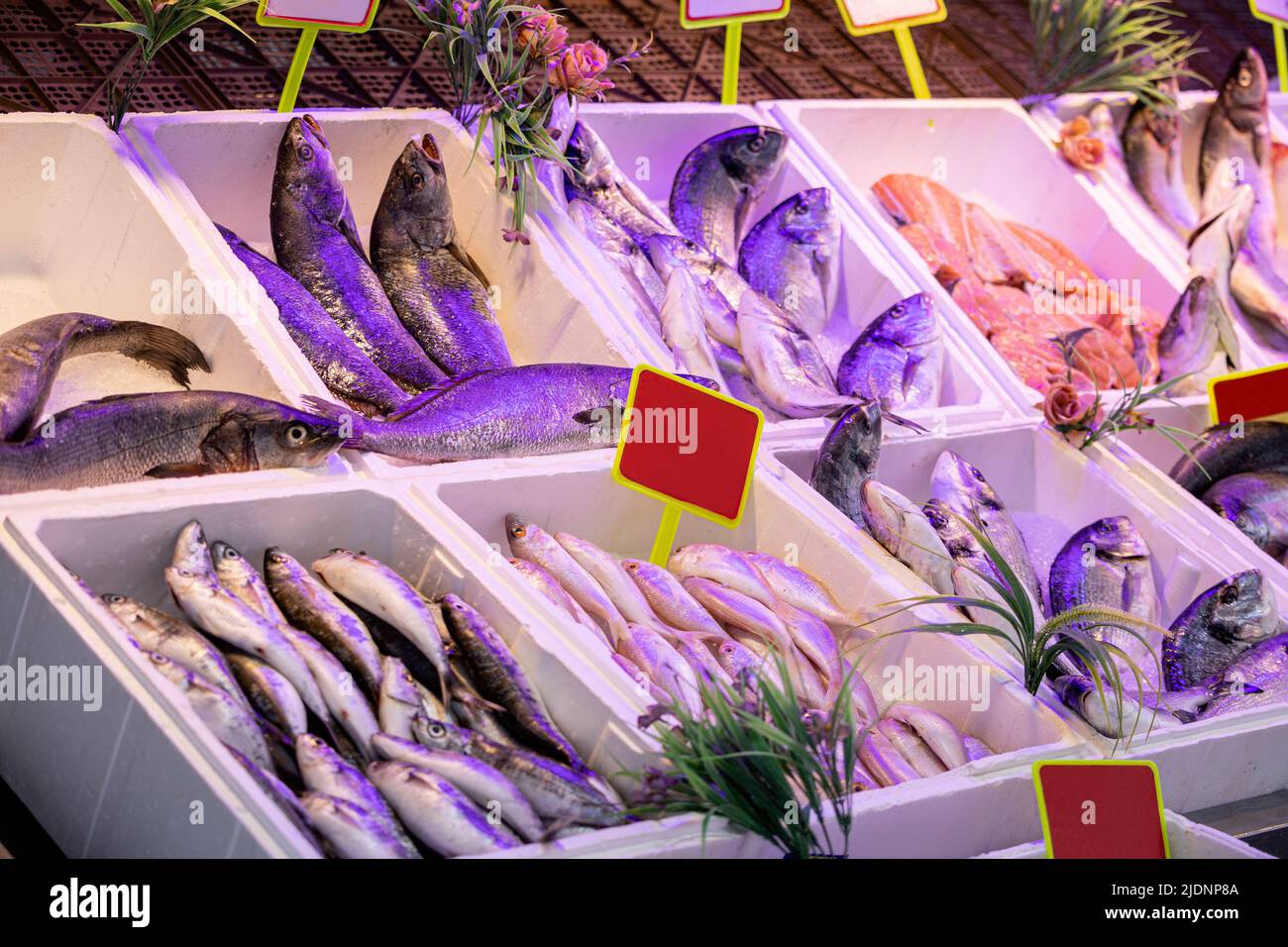 Various types and varieties of fish lie on the ice and are sold at the ...