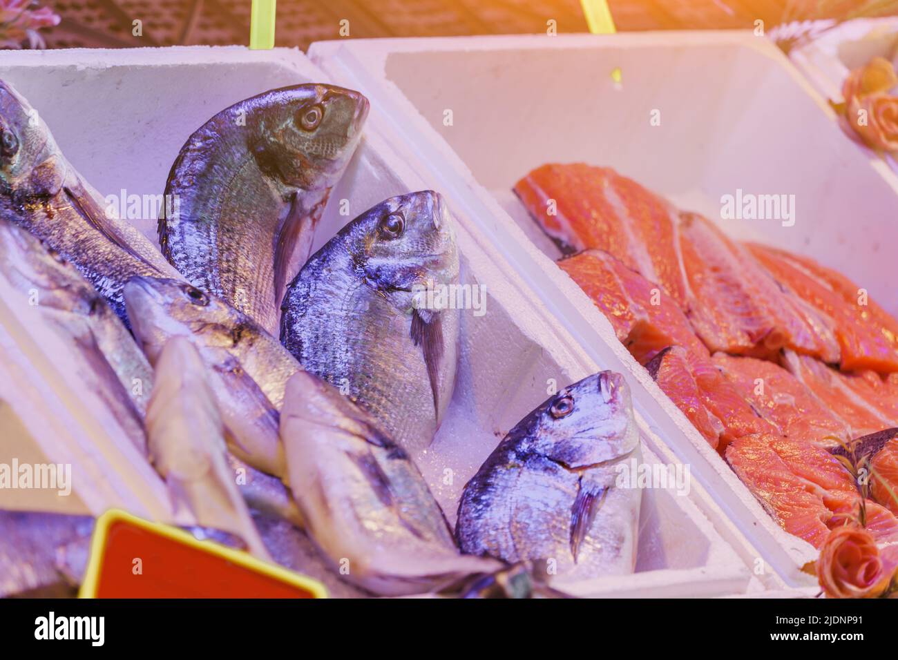 Various types and varieties of fish lie on the ice and are sold at the ...
