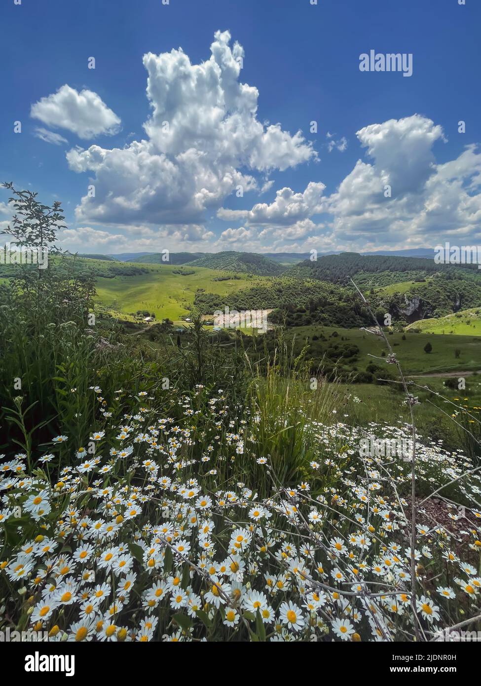 Uvac hi-res stock photography and images - Alamy