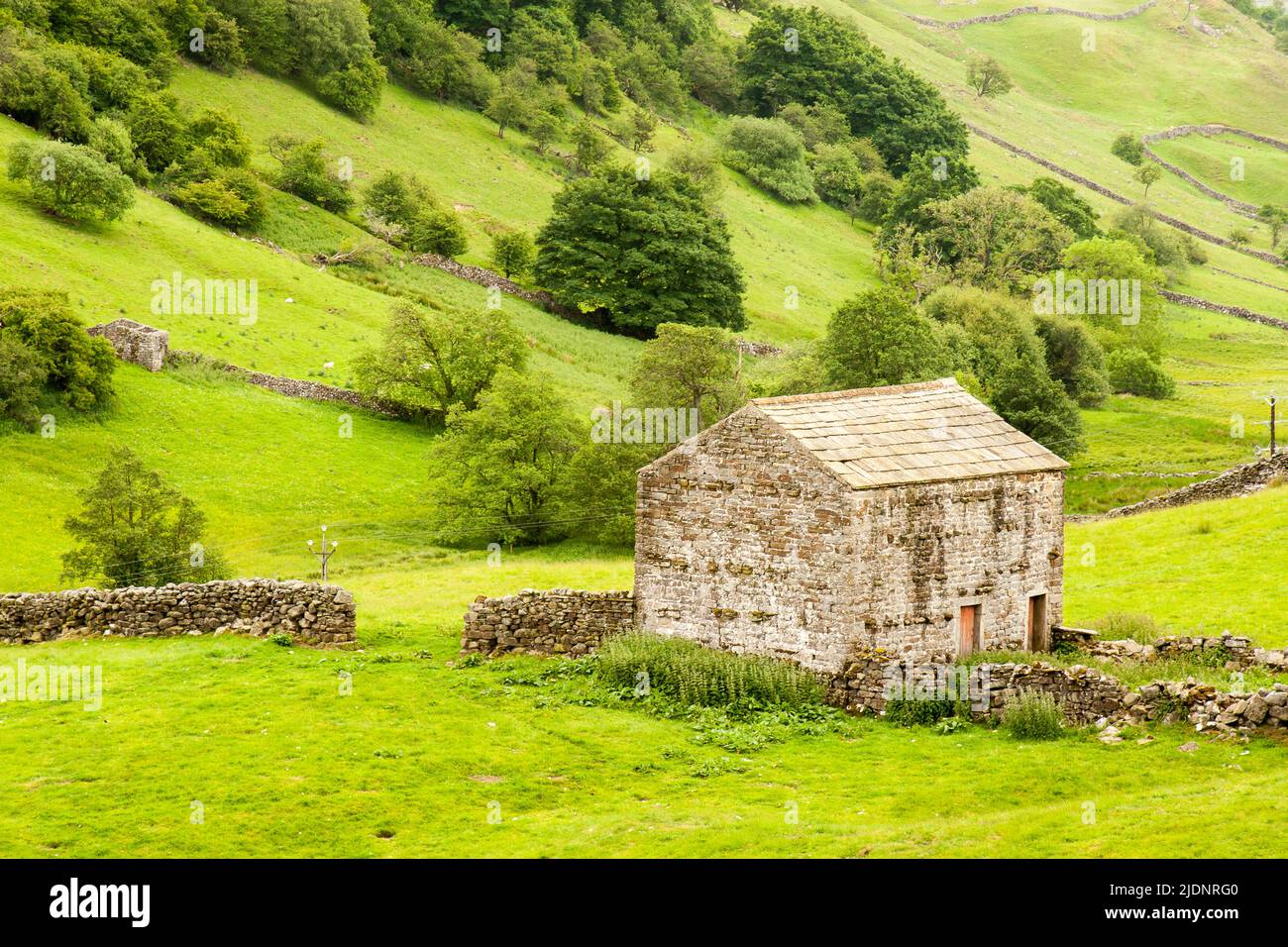 Birkdale Swaledale Yorkshire Dales England UK Stock Photo - Alamy