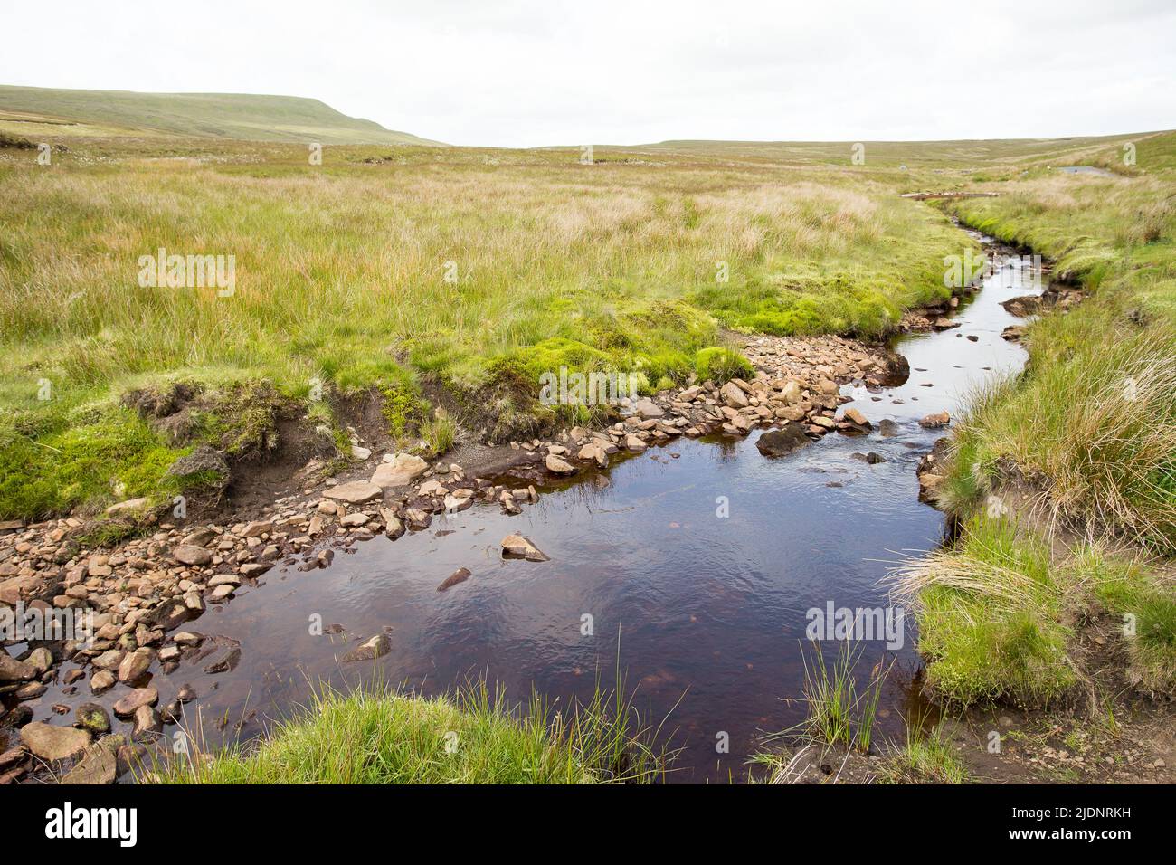 Birkdale Swaledale Yorkshire Dales England UK Stock Photo - Alamy