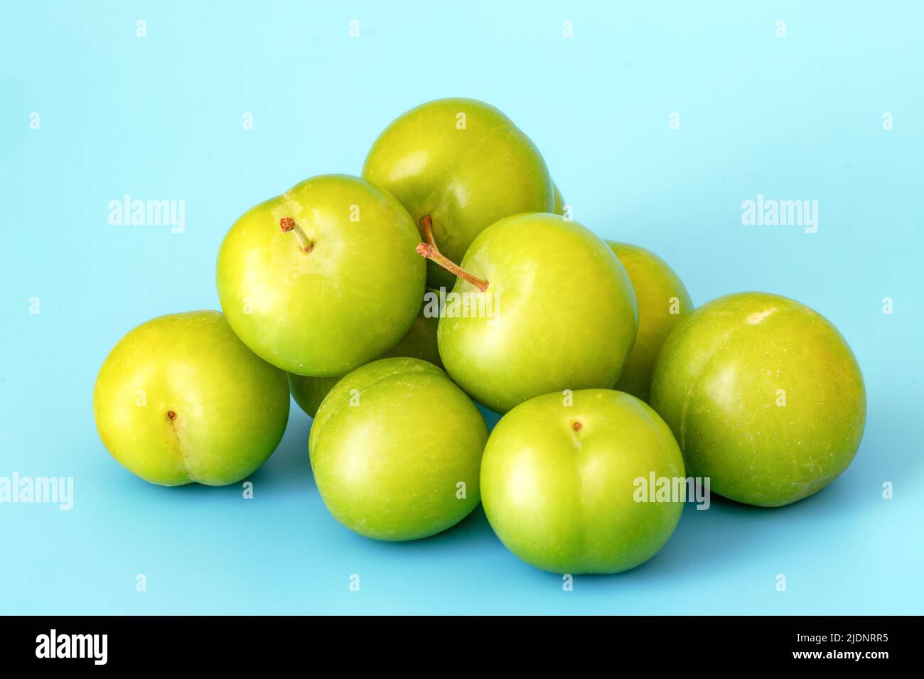 Harvest of green and sour Turkish plum, a popular delicacy refreshing ...