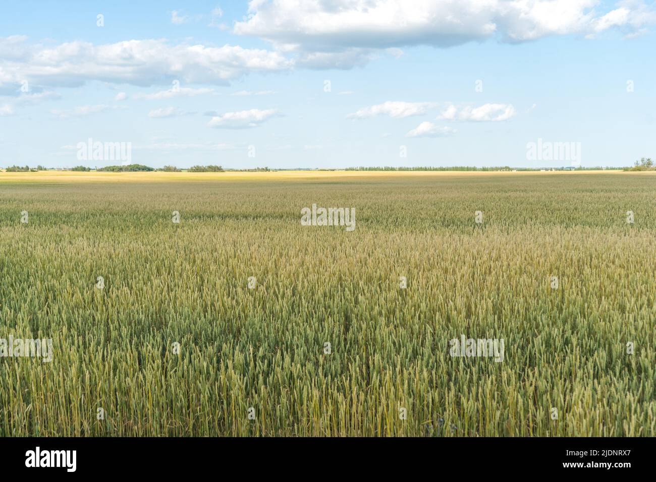 Explore saskatchewan hi-res stock photography and images - Alamy