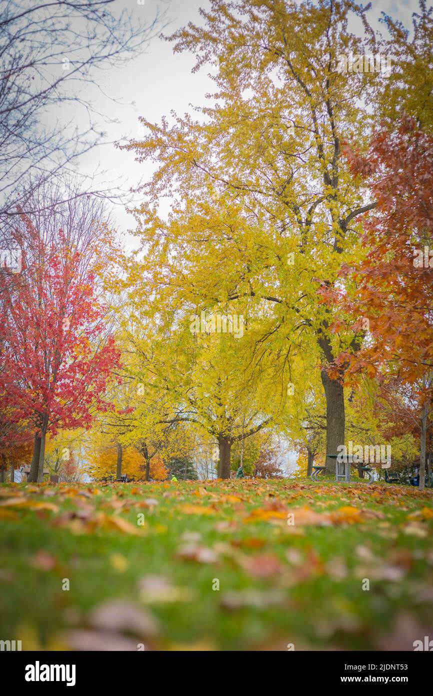 Season in canada hi-res stock photography and images - Alamy