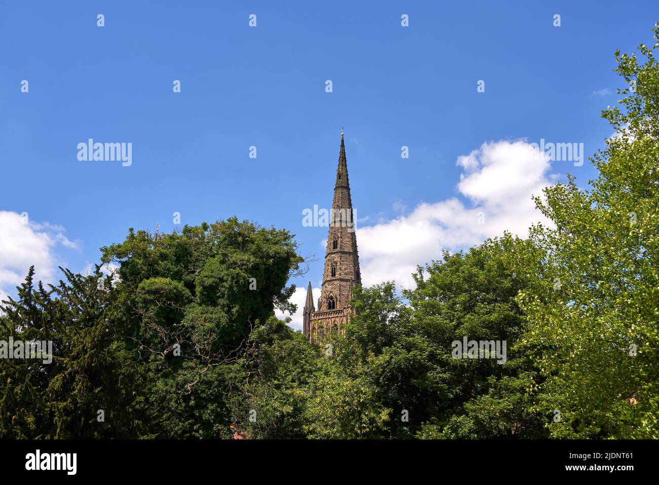 Pointed cathedral tower seen above trees Stock Photo - Alamy