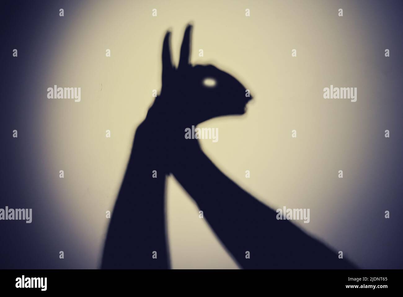 Shadow of a hand from the night light of a flashlight on a white wall ...