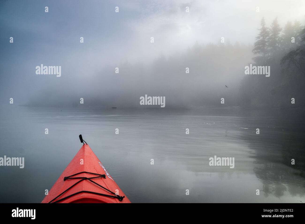 Colvos passage hi-res stock photography and images - Alamy