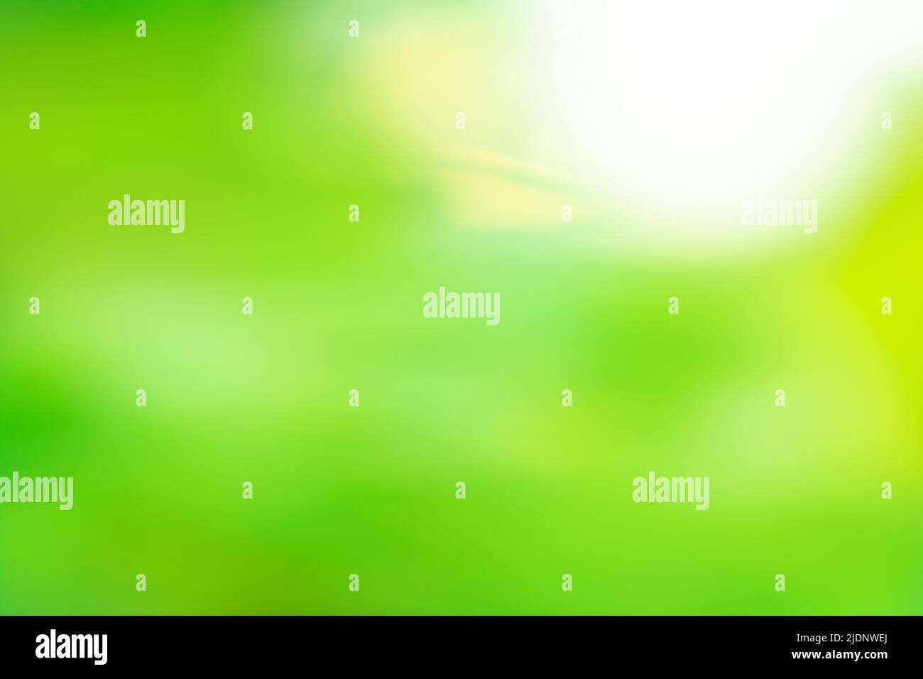 Green bokeh out of focus background. Green olive blur abstract ...