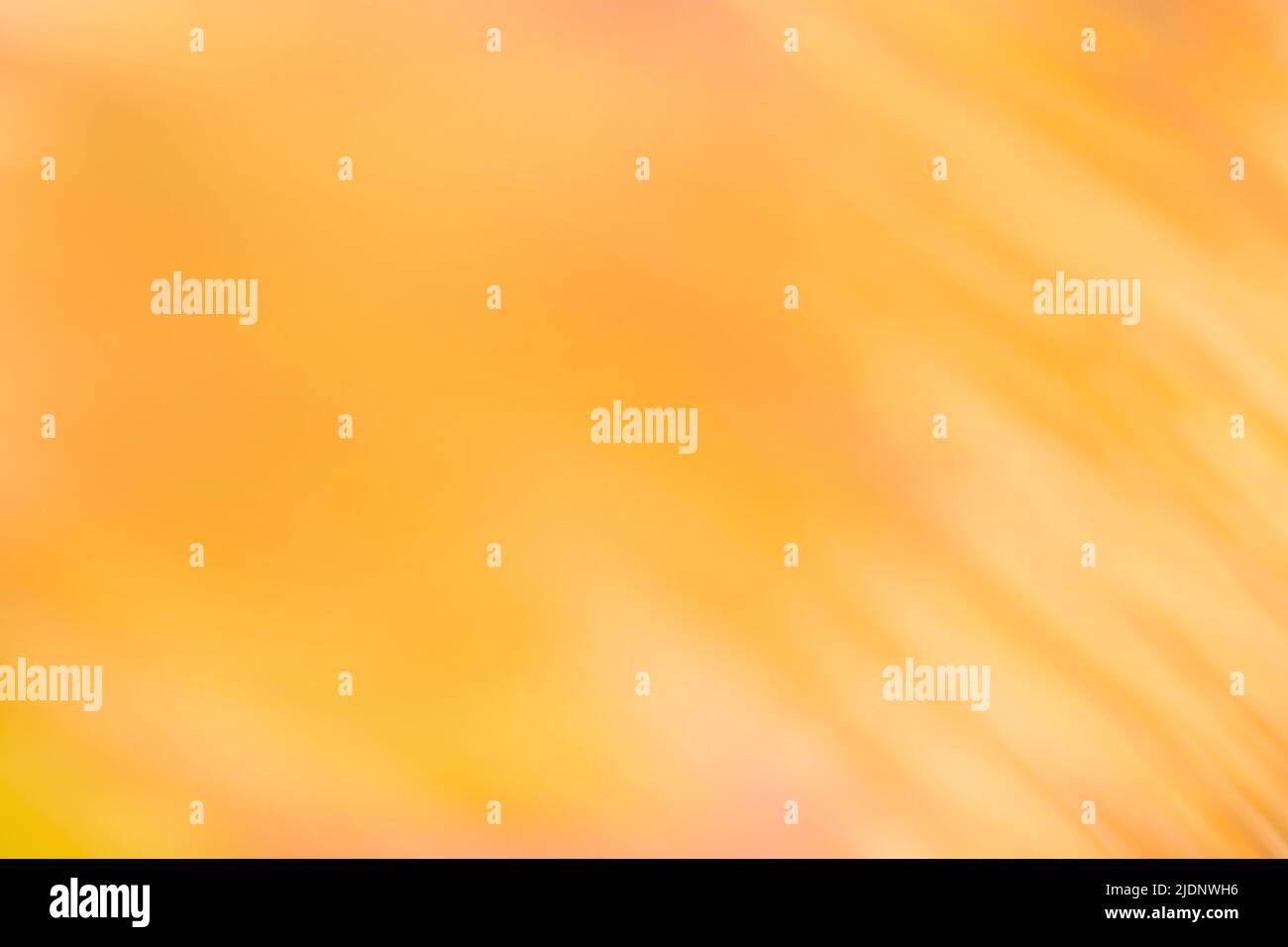 Honey blurry background. Mellifluent honey color blurred background ...