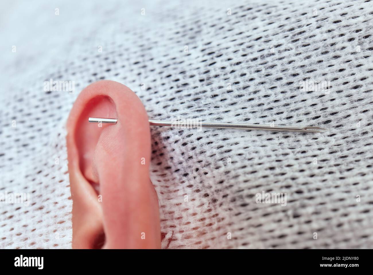 piercings on an ear. Conch and helix piercings close up. Professional ...