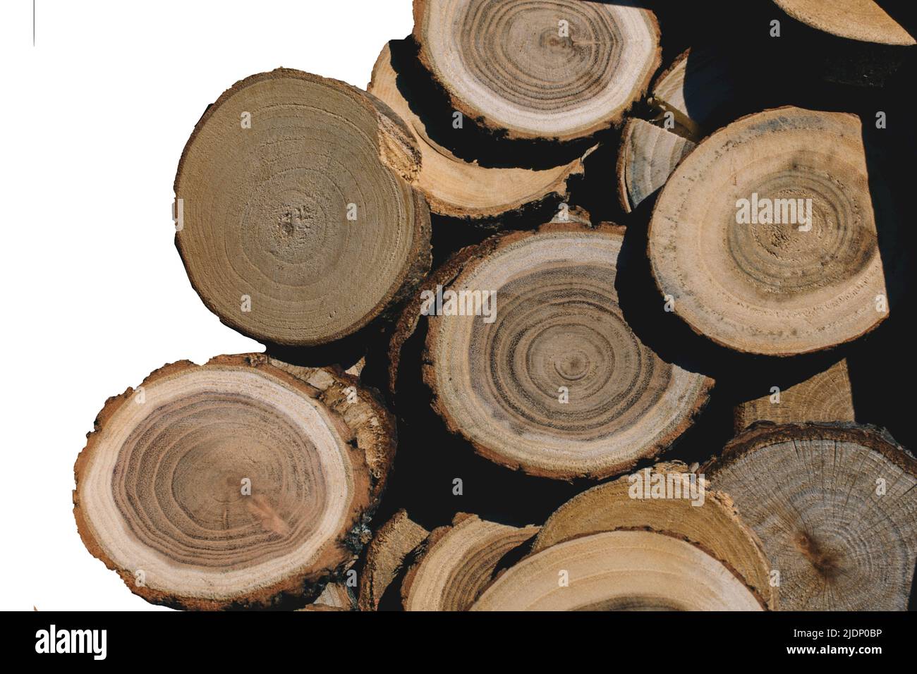 Trees cut into thin pieces Stock Photo - Alamy