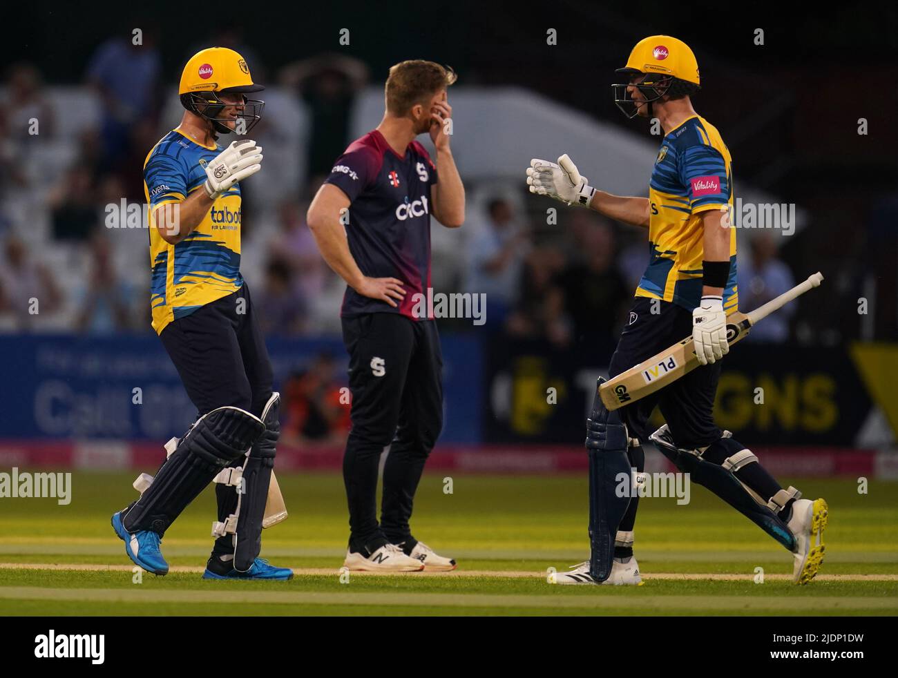 Adam hose cricket hi-res stock photography and images - Alamy