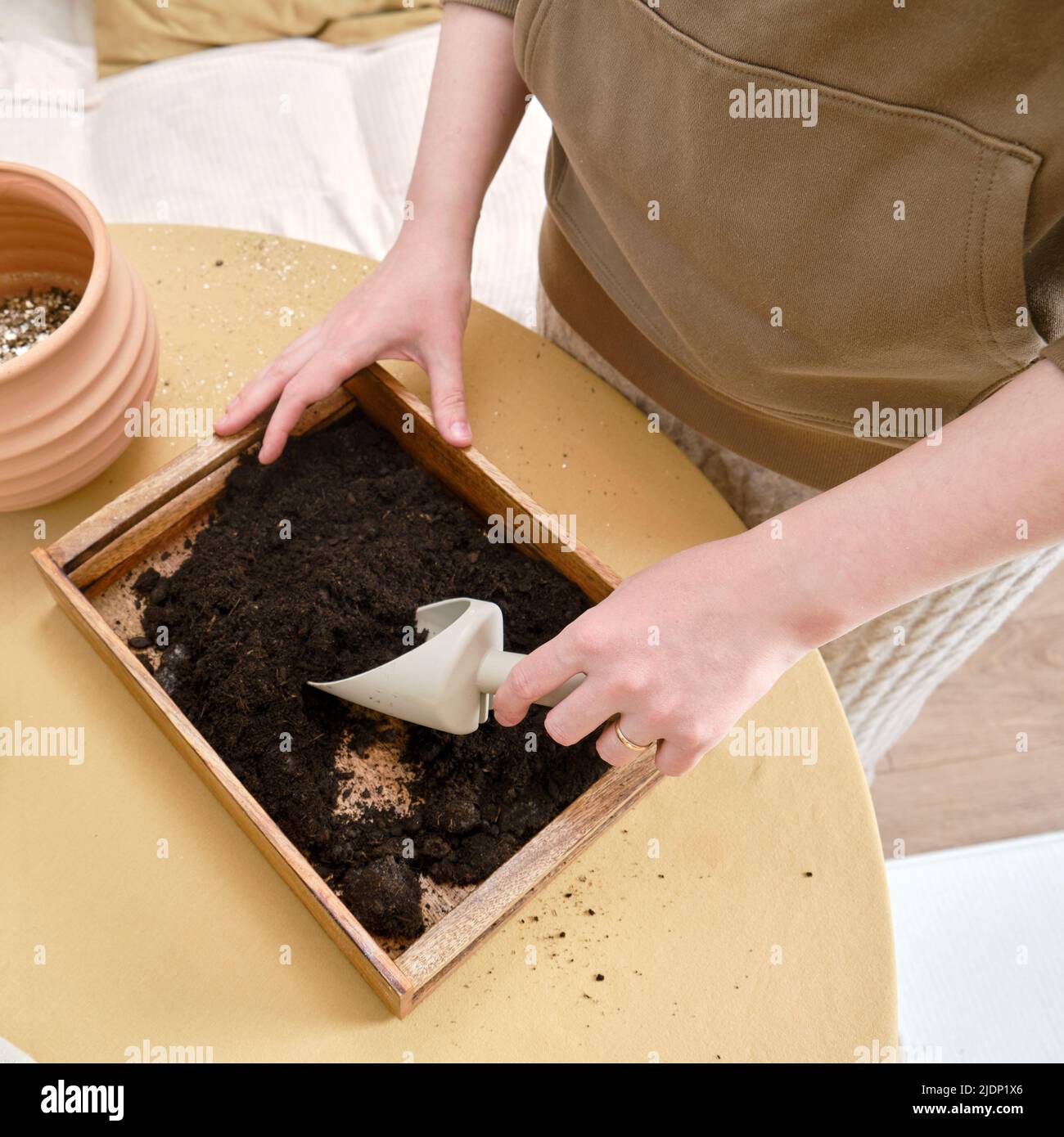 Woman working in home garden, plant care hobby. Transplanting flowers ...