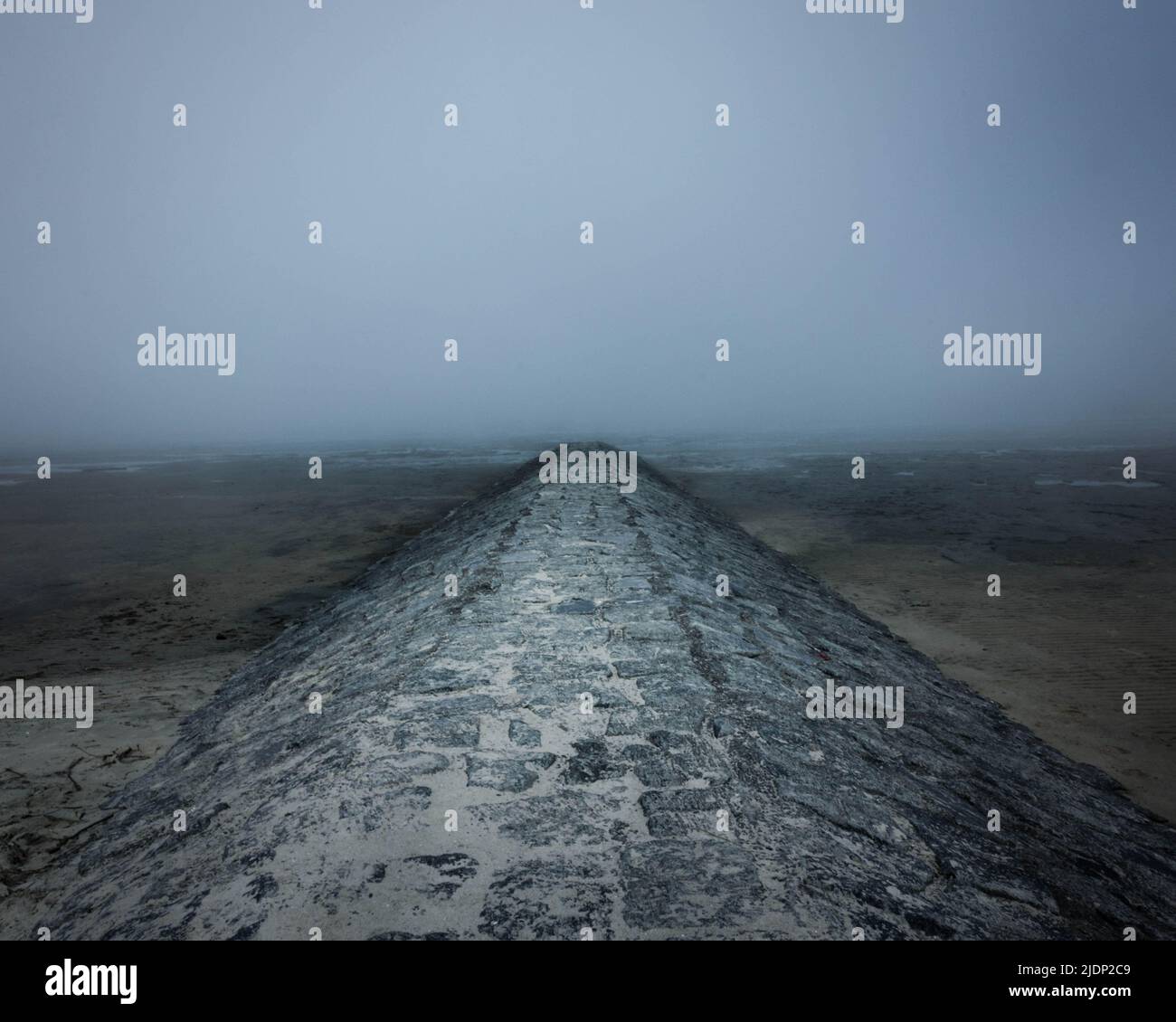 Wadden sea coast hi-res stock photography and images - Alamy