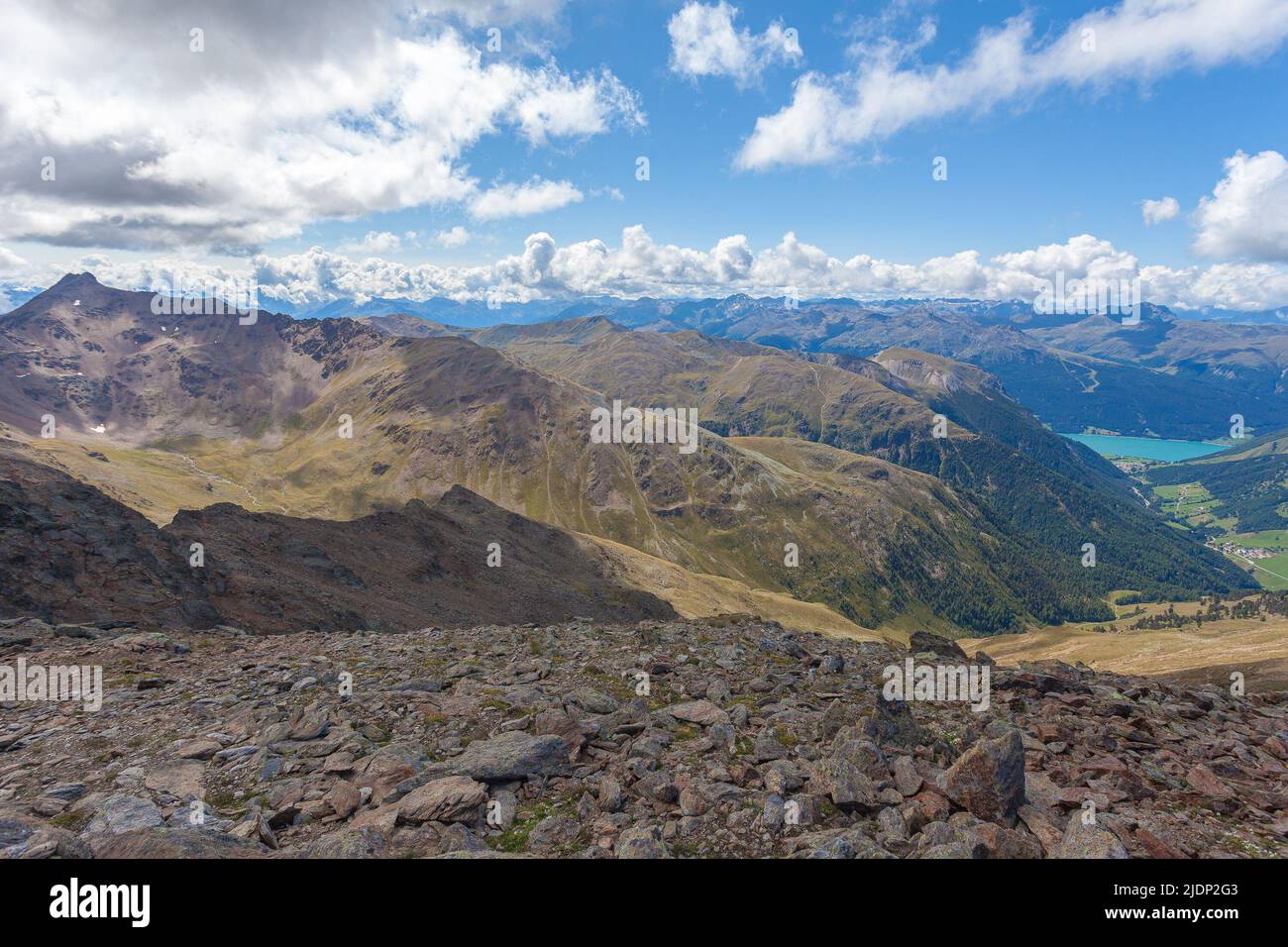 Alps alpine panorama view tree hi-res stock photography and images - Alamy