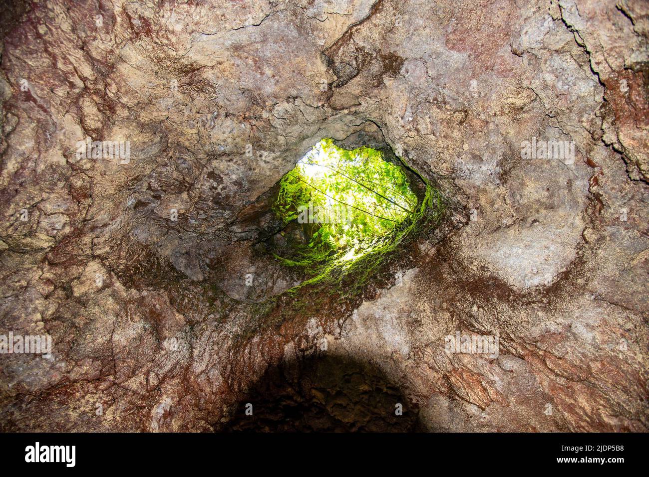Lava tubes on the island of Maui, Hawaii Stock Photo - Alamy