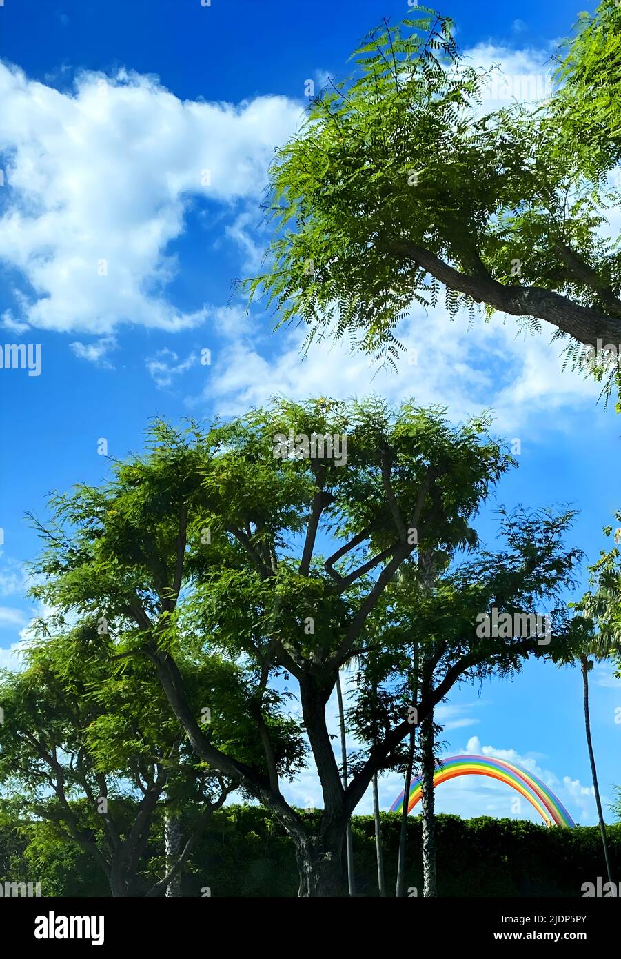A sculpture of a rainbow behind trees Stock Photo - Alamy